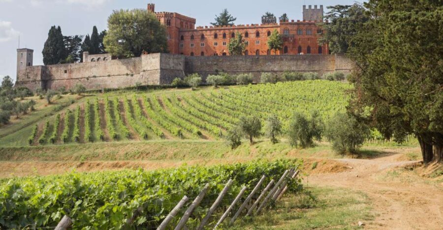 From Siena: Chianti Wine Tour with Lunch - Itinerary Breakdown: From Vineyards to Hilltop Towns