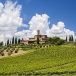 From Siena: San Gimignano, Chianti, and Montalcino Day Trip - Who This Tour Is For