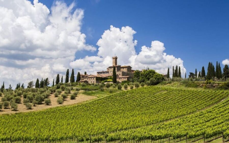 From Siena: San Gimignano, Chianti, and Montalcino Day Trip - Who This Tour Is For