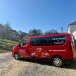 From Sighisoara: City Tour Sibiu with UNESCO - The Heart of Sibiu