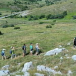 From Skopje: Ohrid and Magaro Peak Hike on Galicica Mountain - The Practical Side: Value, Comfort, and Tips
