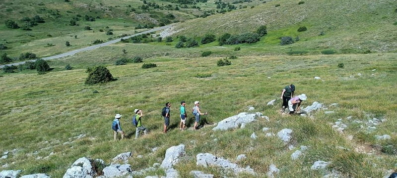 From Skopje: Ohrid and Magaro Peak Hike on Galicica Mountain - The Practical Side: Value, Comfort, and Tips