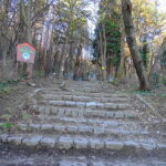From Sofia: One-Day Tour of Vitosha Mountain - The Guide and Group Dynamic