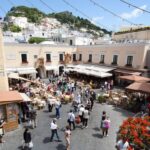 From Sorrento: Capri, Anacapri & Blue Grotto Private tour - The Transportation and Logistics: What Travelers Need to Know