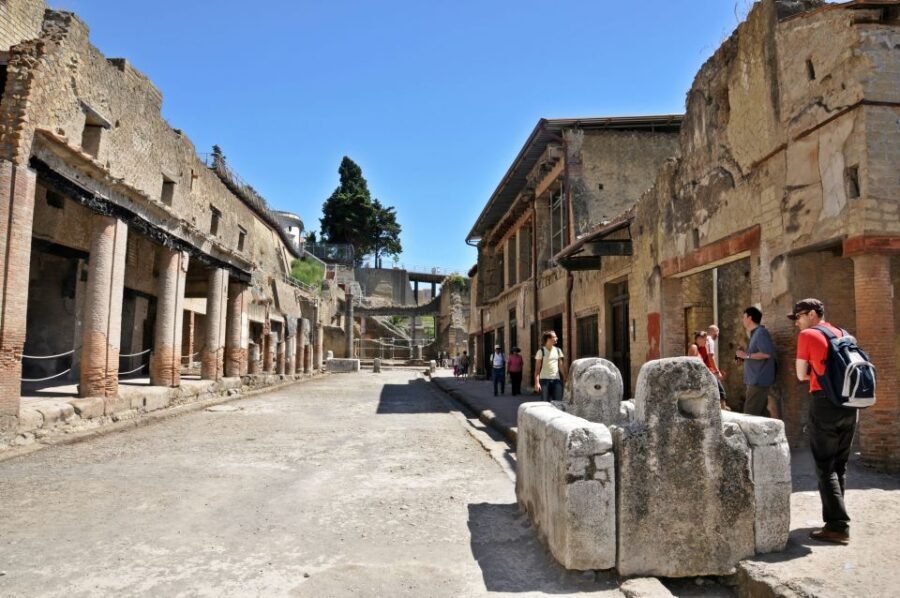From Sorrento: Herculaneum Guided Tour with easy Lunch - Assessing the Value