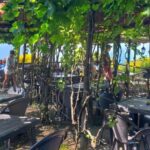 From Sorrento: Mount Vesuvius Tour with Lunch & Wine Tasting - What Past Travelers Say