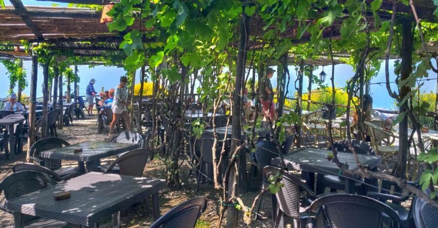 From Sorrento: Mount Vesuvius Tour with Lunch & Wine Tasting - What Past Travelers Say