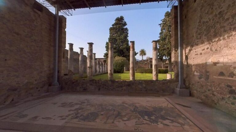 From Sorrento: Pompeii and Vesuvius Guided Tour with Lunch - Practical Tips for Future Travelers