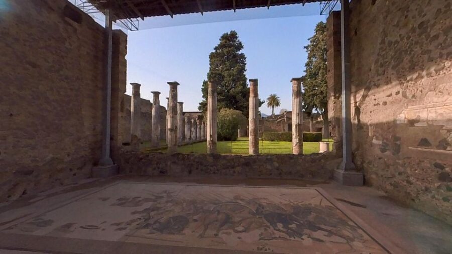 From Sorrento: Pompeii and Vesuvius Guided Tour with Lunch - Practical Tips for Future Travelers