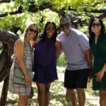 From Sorrento: Pompeii & Mount Vesuvius Winery Private Tour - Who Is This Tour Best For?