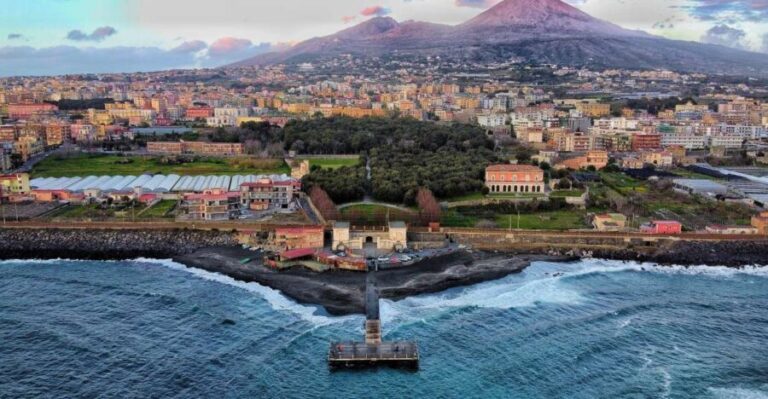From Sorrento: Pompeii & Mt. Vesuvius Tour with Lunch & Wine - What Travelers Will Love