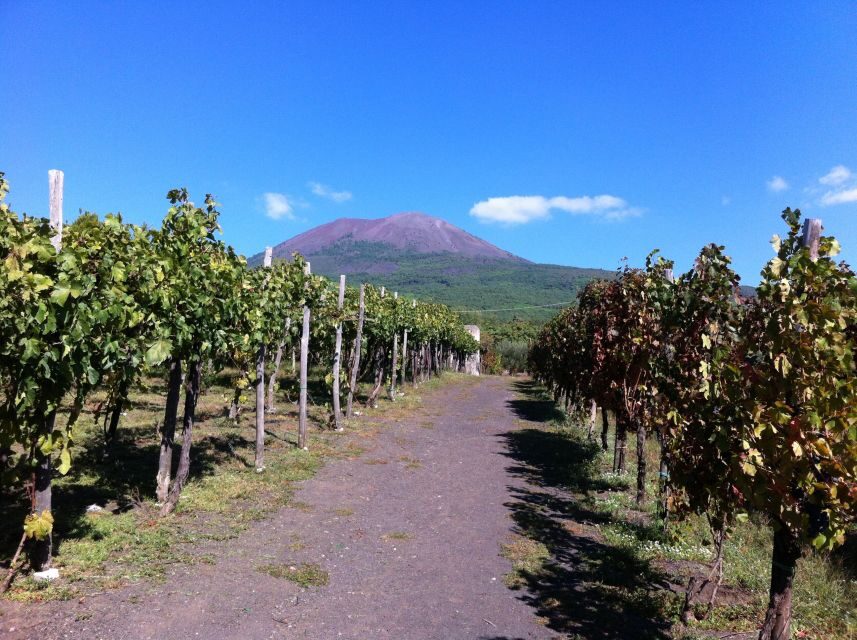 From Sorrento: Skip-the-Line Guided Vesuvius Hike and Lunch - The Itinerary Breakdown
