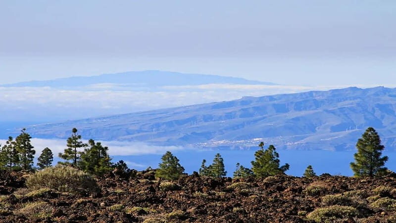 From South Tenerife: Half-Day Tour to Mount Teide - The Itinerary: From the Coast to the Volcano’s Foot