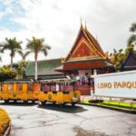 From South Tenerife: Loro Park Zoo Ticket & Hotel Transfers - Authentic Experiences and Honest Feedback