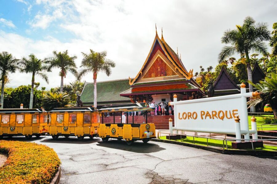 From South Tenerife: Loro Park Zoo Ticket & Hotel Transfers - Authentic Experiences and Honest Feedback