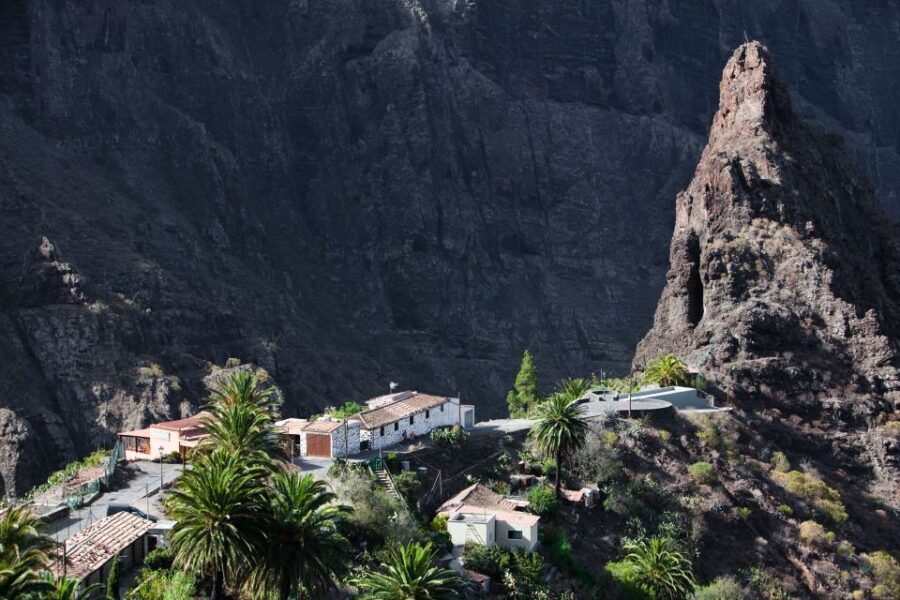 From South Tenerife: VIP Grand Tour Tenerife island - Practical Details & Value