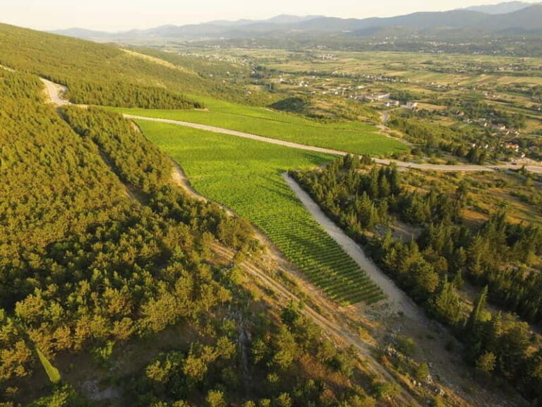 From Split: Blue and Red Lakes and Winery Grabovac Tour - Discovering the Lakes: Why They Matter
