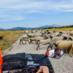 From Split: Full-Day Horse Riding & Quad Biking with Lunch - Final Thoughts: Is It Worth It?
