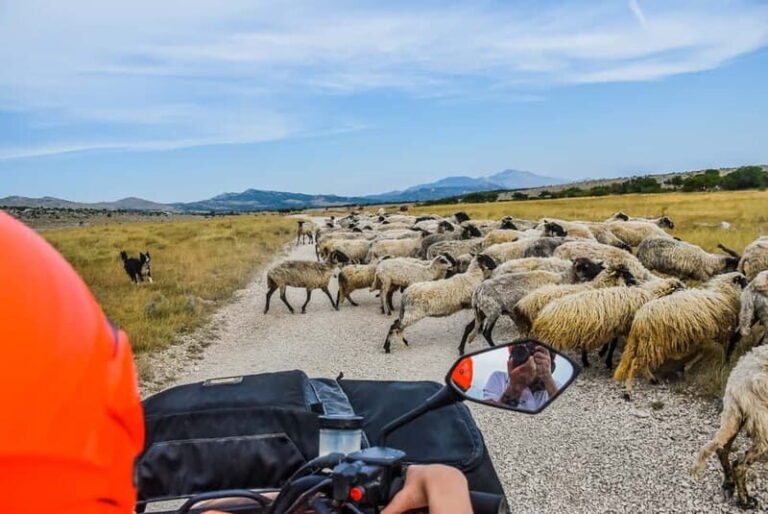 From Split: Full-Day Horse Riding & Quad Biking with Lunch - Final Thoughts: Is It Worth It?