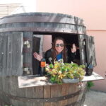 From Split: Krka Waterfalls with Wine & Cheese Tasting Tour - Scenic Drive and the Charm of Skradin