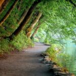 From Split or Trogir: Plitvice Lakes Guided Full-Day Tour - What the Price Includes and What to Keep in Mind