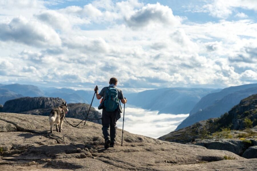From Stavanger: Pulpit Rock Guided Hike with Pickup - The Good, the Bad, and the Valuable