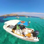 From Stintino: boat trip to Asinara - How Does It Compare to Similar Experiences?