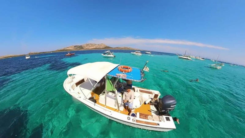 From Stintino: boat trip to Asinara - How Does It Compare to Similar Experiences?