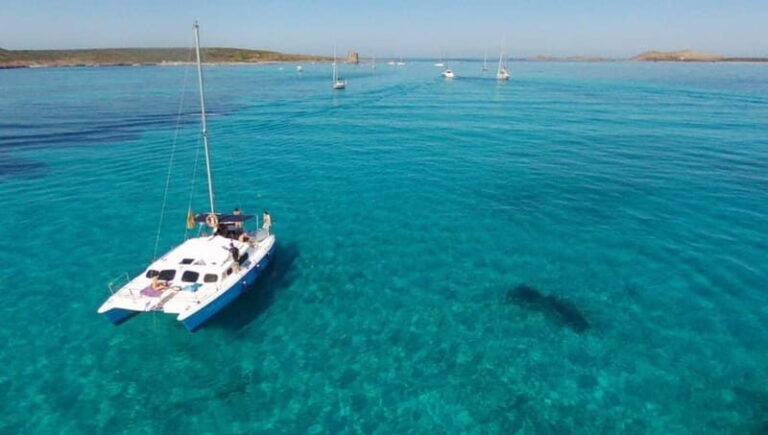 From Stintino: catamaran trip in the Gulf of Asinara - Who Should Consider This Tour?
