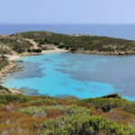 From Stintino: Day trip by minibus in Asinara National Park - The Itinerary: A Step-by-Step Dive into Asinara’s Wonders