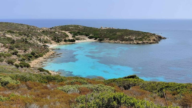 From Stintino: Day trip by minibus in Asinara National Park - The Itinerary: A Step-by-Step Dive into Asinara’s Wonders