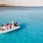 From Stintino: Half-day dinghy tour in Asinara Gulf - Why This Tour Is Worth Considering
