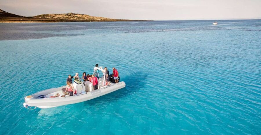 From Stintino: Half-day dinghy tour in Asinara Gulf - Why This Tour Is Worth Considering