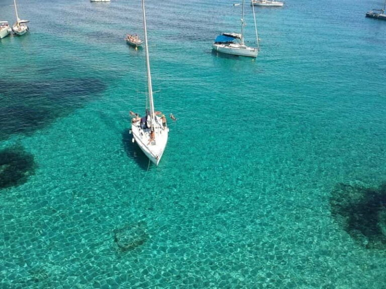 From Stintino: Half-Day Sailing Boat Tour to Asinara - What’s Included and What Not