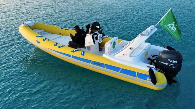 From Stintino: two-hour dinghy tour at sunrise or sunset - Who Would Love This Tour?