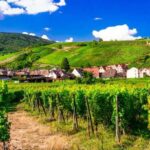 From Strasbourg: Half-Day Tour of Alsace Villages - The Value of the Half-Day Experience