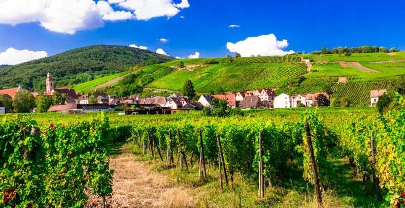 From Strasbourg: Half-Day Tour of Alsace Villages - The Value of the Half-Day Experience