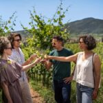 From Strasbourg: Private Alsace Classic Wine Tour - Key Points