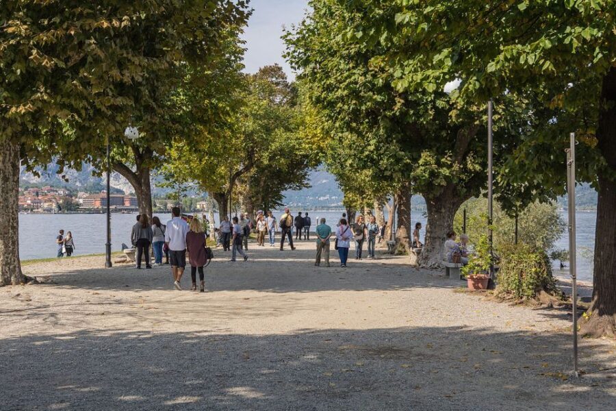From Stresa: Isola Pescatori Hop-On Hop-Off Boat Tour - Who Will Enjoy This Tour?
