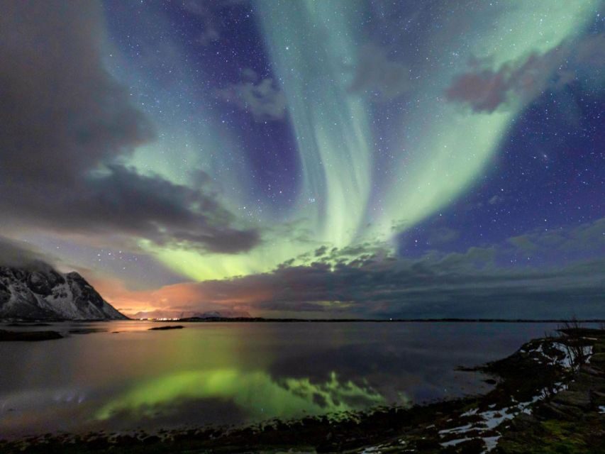 From Svolvær: Guided Northern Lights Tour by Van - What Makes This Northern Lights Tour Worth Considering?