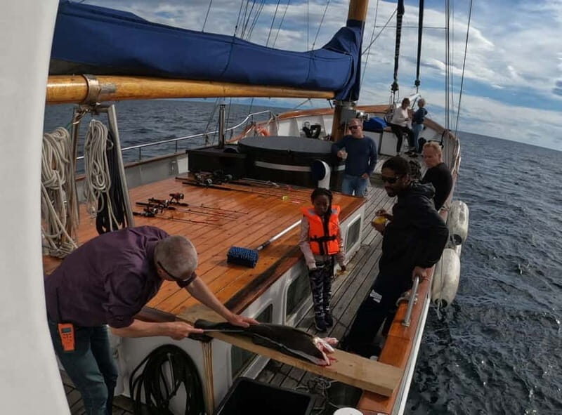 From Svolvær: Taste of Lofoten - Cultural Fishing Experience - A Closer Look at the Experience