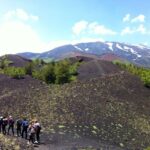 From Syracuse: Etna Tour with Light Lunch and Wine Tasting - What Sets This Tour Apart