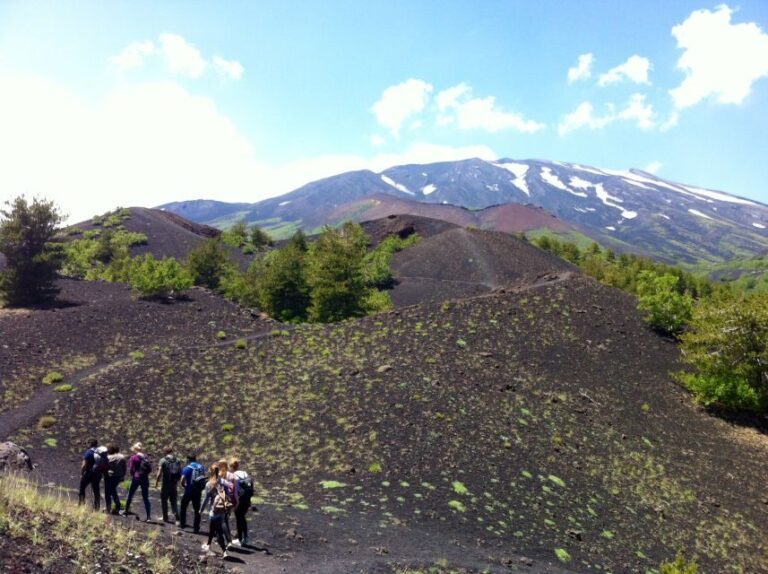 From Syracuse: Etna Tour with Light Lunch and Wine Tasting - What Sets This Tour Apart