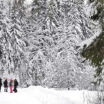From Tallinn: Lahemaa National Park 3 Waterfall Hike - What Travelers Say