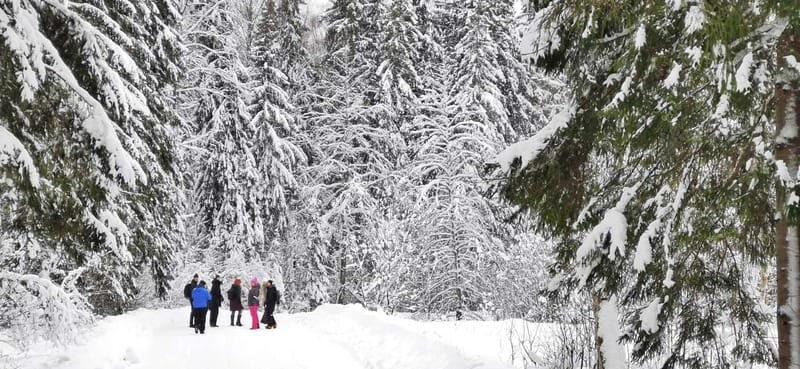 From Tallinn: Lahemaa National Park 3 Waterfall Hike - What Travelers Say