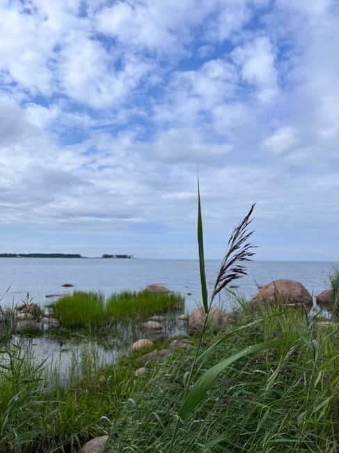 From Tallinn: Lahemaa National Park Day Trip - The Experience and Its Value