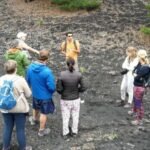 From Taormina: Full-Day Etna, Wine & Alcantara Canyons Tour - Why This Tour Delivers Value
