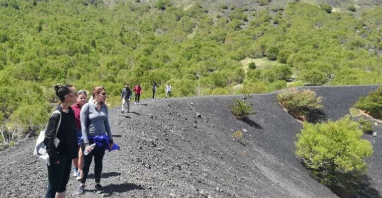 From Taormina: Half-Day Mount Etna Morning Trek - Why This Tour Excels: Authenticity, Knowledge, and Scenery