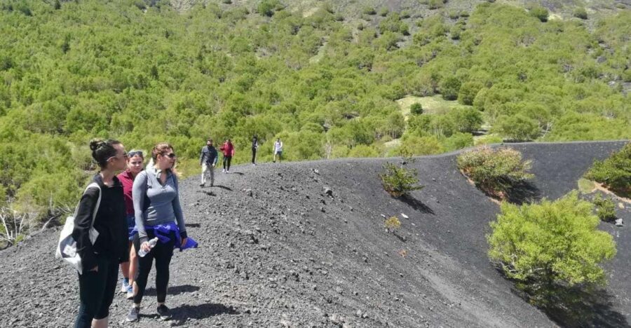 From Taormina: Half-Day Mount Etna Morning Trek - Why This Tour Excels: Authenticity, Knowledge, and Scenery