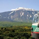 From Taormina: Mount Etna upper craters and Alcantara Gorges - Who Will Appreciate This Tour?
